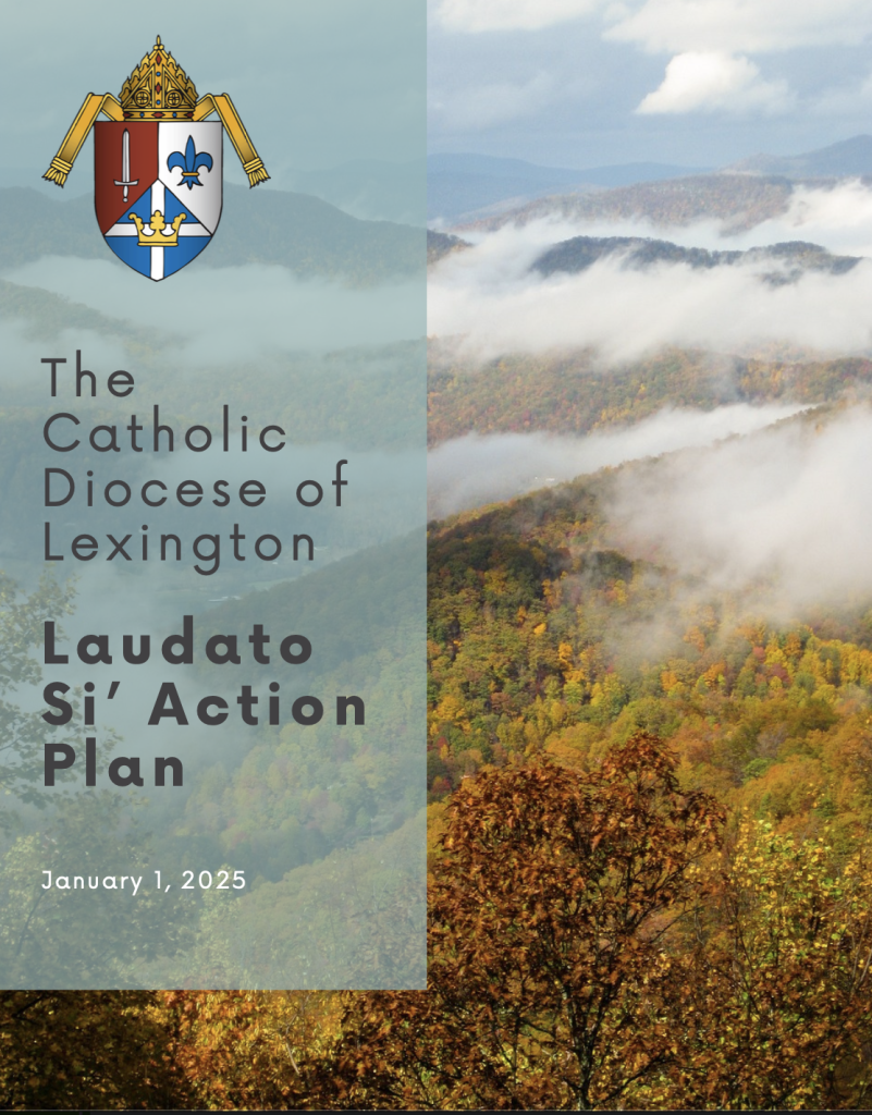 Laudato Si’ Action Plan - CDLEX
